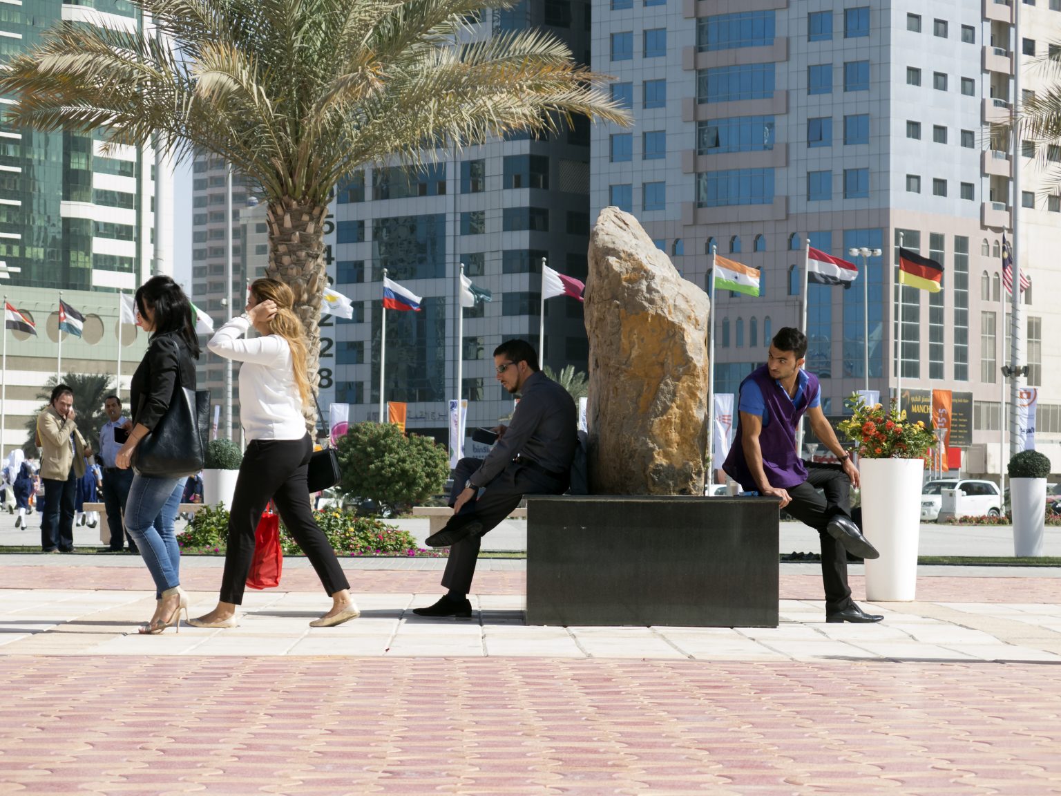 Insight 245: Demographic Changes and Social Challenges in the UAE – NUS ...