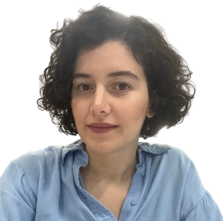 About – E – NUS – Middle East Institute